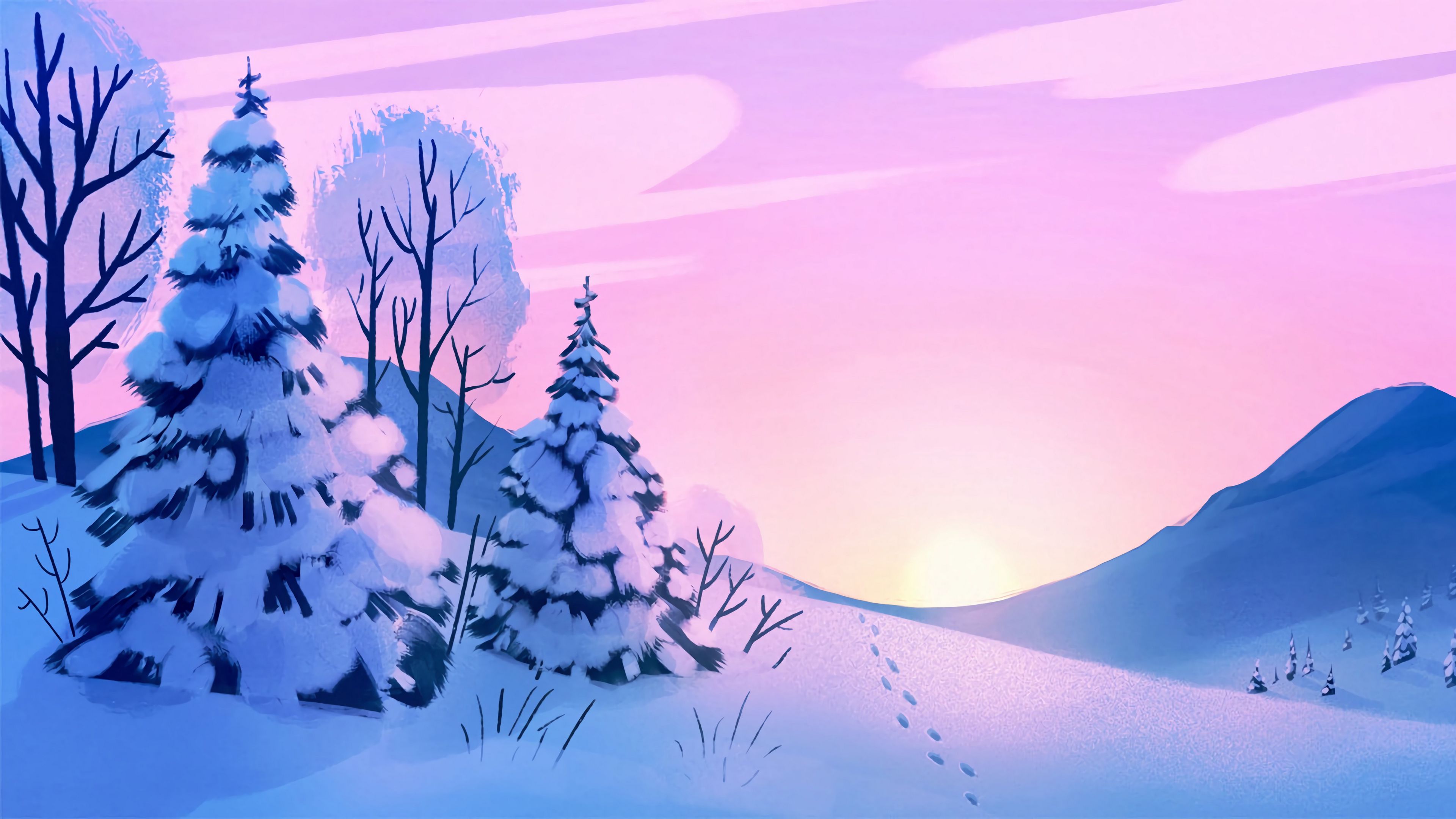 Forest trees spruce 4k wallpaper | 4kw