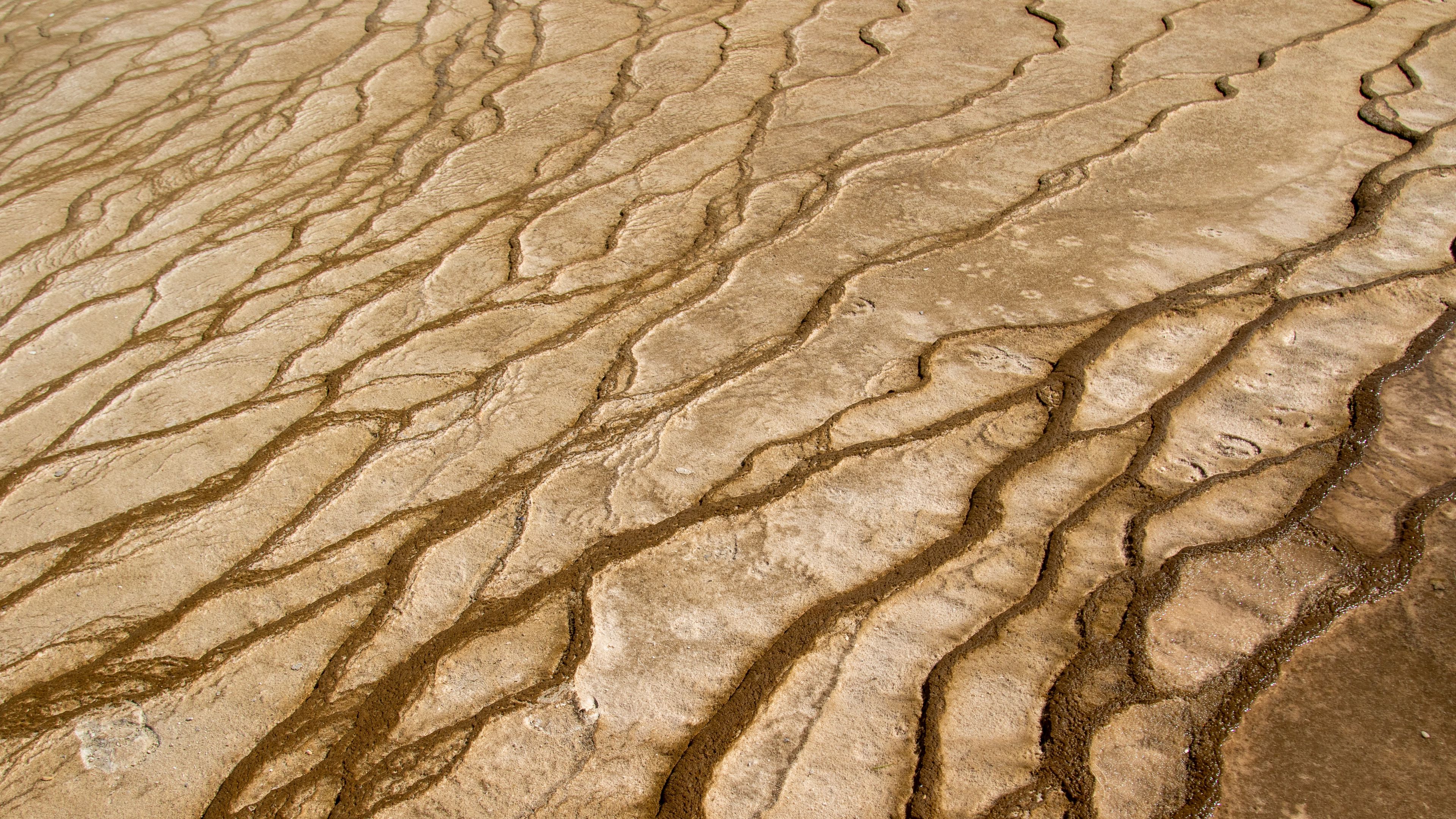 Cranny sand sandy 4k wallpaper | 4kw