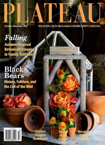 Freshwater Fishing Australia - January-March 2026 | Fishing Tips ...