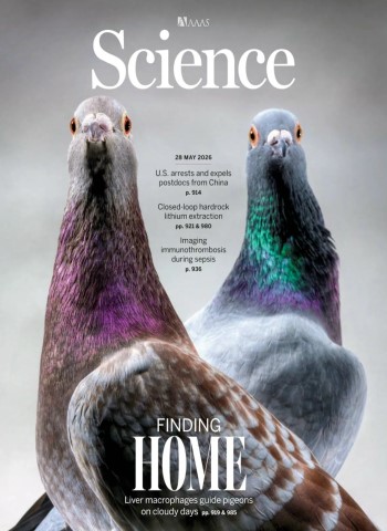 Science - 28 May 2026 | Scientific Research, Breakthrough Discoveries ...